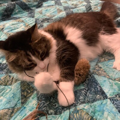 Fuzzy, Natural Rabbit Fur & Suede Leather Cord, Cat Toy, Handmade Cat ...