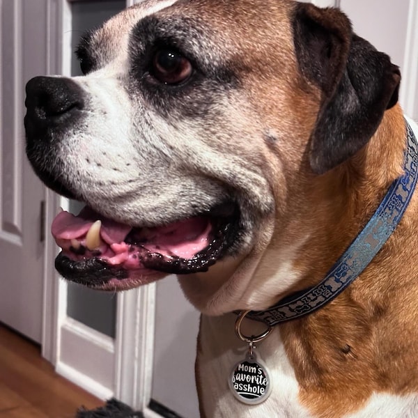 Large Personalized Pet ID Tag, Large Dog Tag for Dogs, Double Sided ...