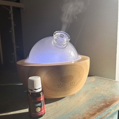 Willow Glass Dome & Wood Grain Diffuser Essential Oil Diffuser - Etsy