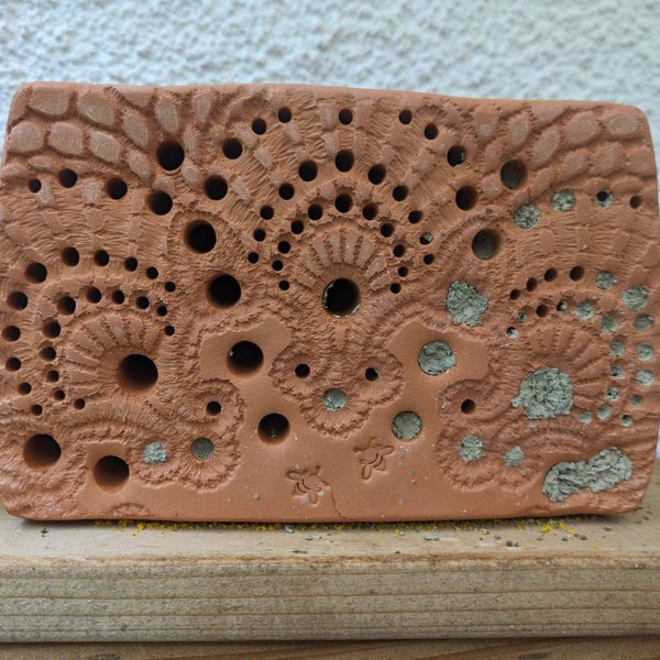 XL Wildbienen Nisthilfe "Wegerich & Insekten" mit ca. 12 cm Seitenlänge ...