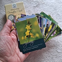 Bach Flower Divination Cards Pack - Etsy