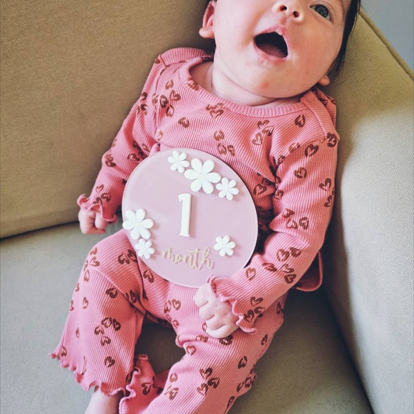 Acrylic Baby Milestone Marker, Baby Milestone Discs, Interchangeable ...