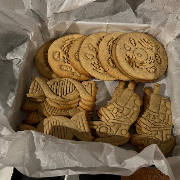 DNA Cookie Cutter: Microbiology, Genetics, Science - Etsy