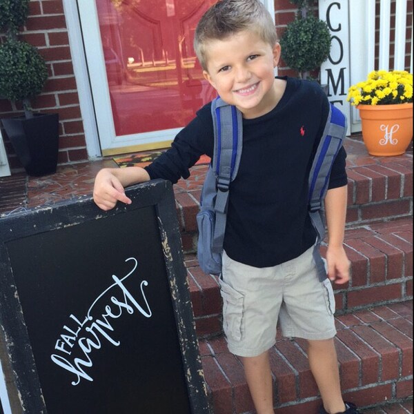 Fall Harvest SVG Fall Leaves Cutting File, Silhouette SVG Cricut ...