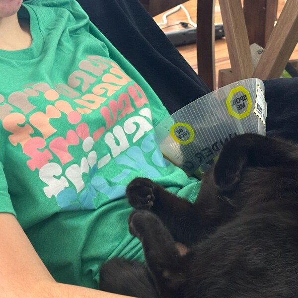 Sois Gentil, Be Kind Teacher T-shirt, Anti-bullying Shirt, Bullying ...