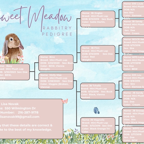 Custom Rabbitry Kit | Custom Rabbitry Logo | Editable Rabbit Pedigree ...