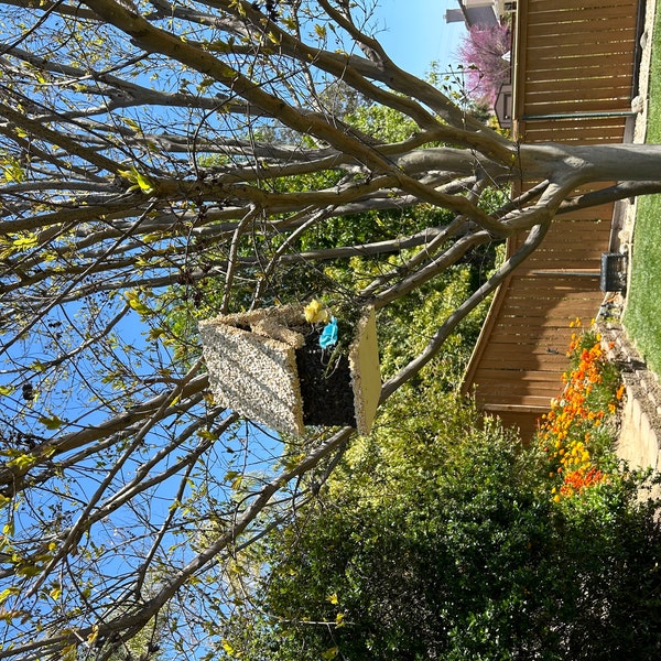 Edible Bird Home, Birdseed Birdhouse, Bird Seed House, Handmade Bird ...