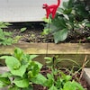 Multicolor Metal Flower Yard Art Spring Garden Decor Garden Art Metal ...