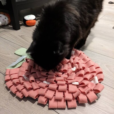 Pink Flower Snuffle Mat for Rabbits, Guinea Pigs, Dogs and Other Pets ...