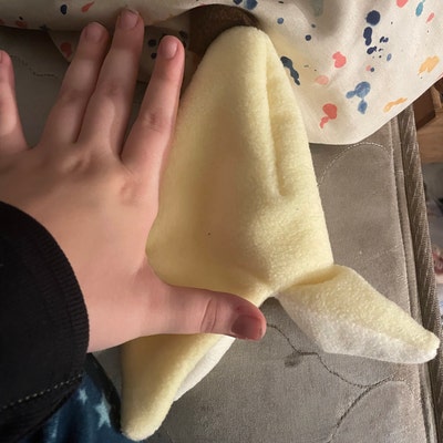 Avocado on Toast Bat Kawaii, Plush, Plushie, Millenial, Bat, Coffee ...