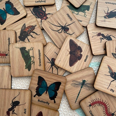 Wooden Insect Bug Memory Game, Montessori Insect Bug Matching Cards ...