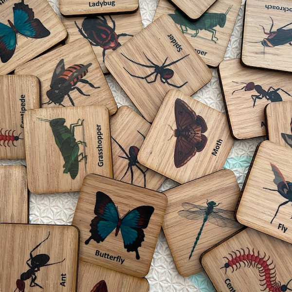 Wooden Insect Bug Memory Game, Montessori Insect Bug Matching Cards ...