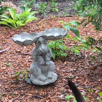 Toadstool Concrete Birds Bath Statue Massive Birds Bath Figure Outdoor ...