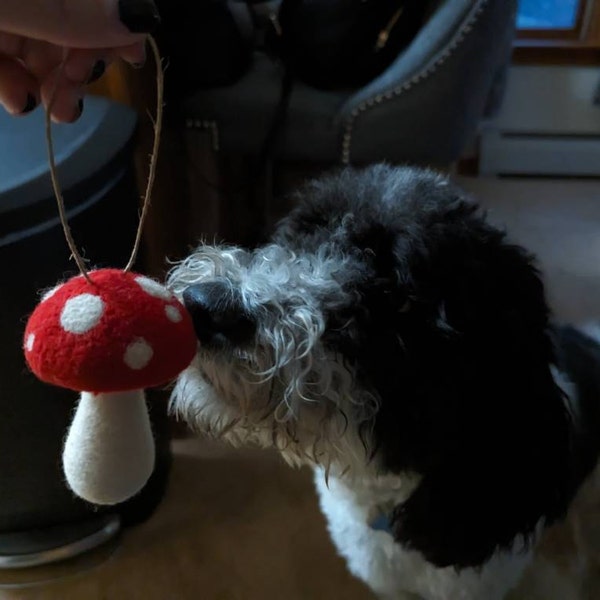 Fronk the Frog / MADE TO ORDER Needle Felted Frog Sculpture - Etsy