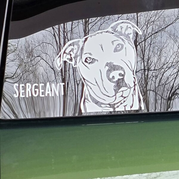 Pet Sticker/dog Car Decal/ Gift for Pet Lover/gift for Pet Owner ...