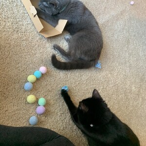 Candy Corn Catnip Cat Toy Halloween Toy With Catnip - Etsy