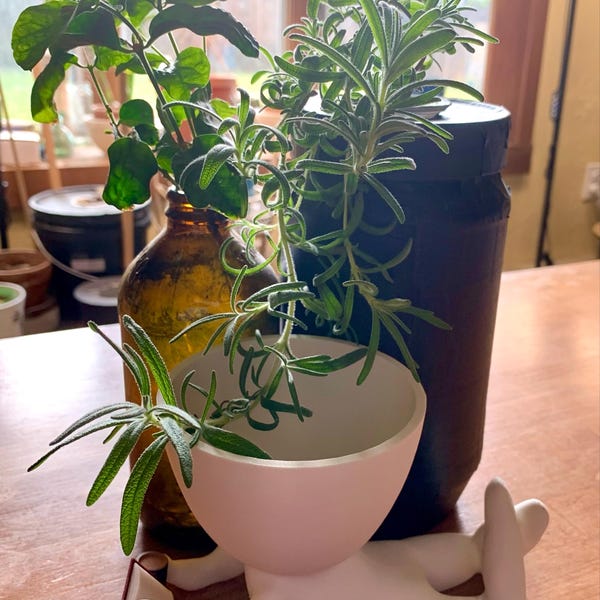 Michelangelo's David Bust With Gum | David With Gum | Pop Art - Etsy