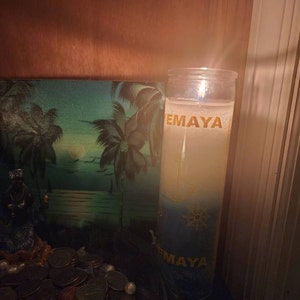 Gourd Shaker With Cowrie Shells/shekere - Etsy