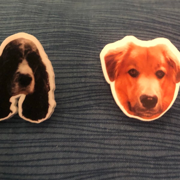 Custom Pet Pin | Personalized Dog Acrylic Brooch | Custom Cat Photo ...
