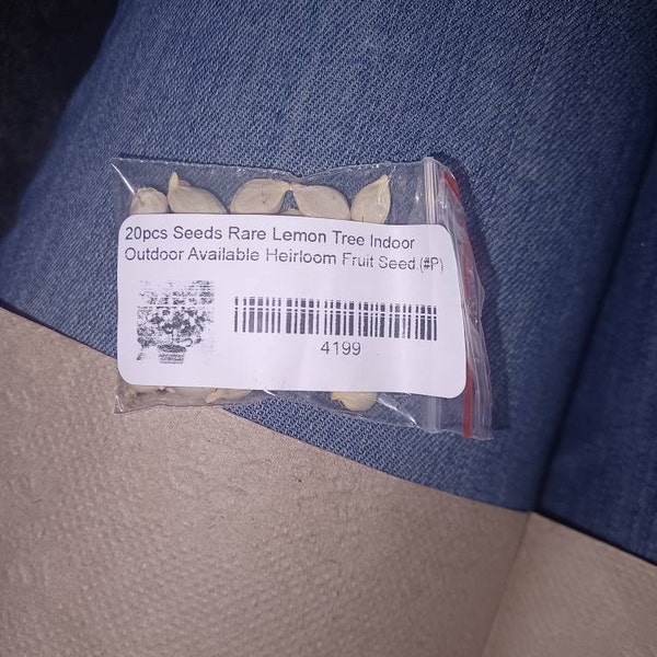 20pcs Seeds Rare Lemon Tree Indoor Outdoor Available Heirloom Fruit ...