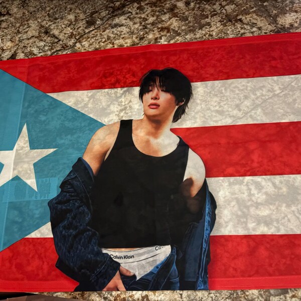 SKZ Han Jisung Hot Girls Concert Banner, Stray Kids Members Kpop Flag ...