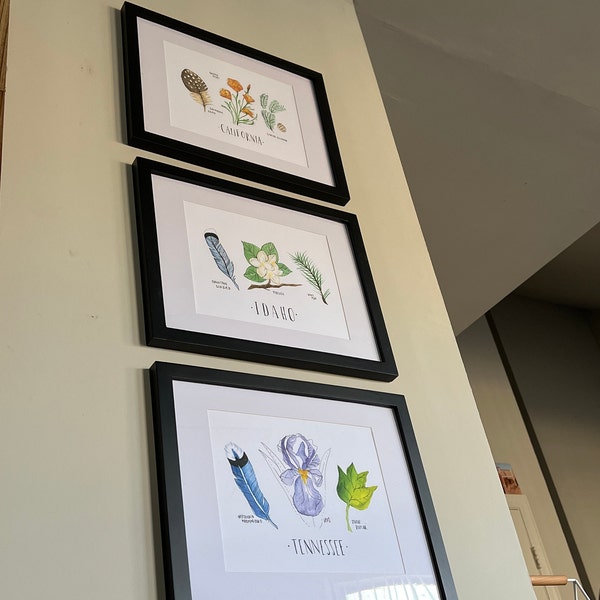 San Diego Illustrated Map Poster 12x16 Inches San Diego La Jolla ...