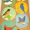 Bird Note Cards Mix Match 8 Choose From 36 Designs - Etsy
