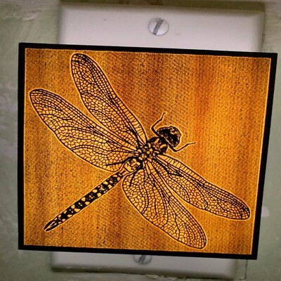 Dragonfly Night-light, Wall Art, Bug, Insect Lamp - Etsy
