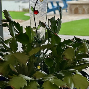 Fused Glass Tree Sculpture, Glass Art, Lyn Hunter Designs Original ...