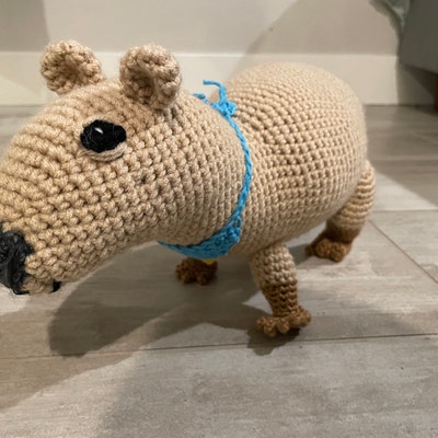 PATTERN PDF Amigurumi Toy Crochet Capi, the Capybara - Etsy