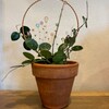 Twisted Copper Flamingo Hoop Trellis Hoya Trellis Circle Trellis ...