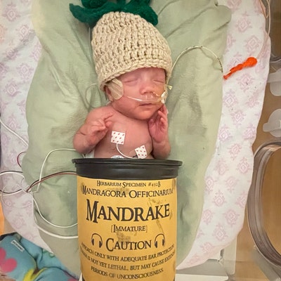 Mr. Dinkles Hat and Cocoon Costume From Trolls Premie - Etsy