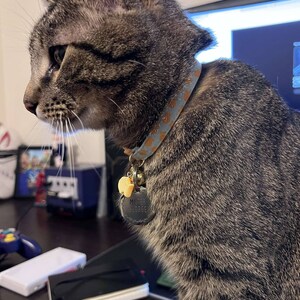 Gold Fish Cat Collar With Bell and Charm, Blue Breakaway Cat Collar ...