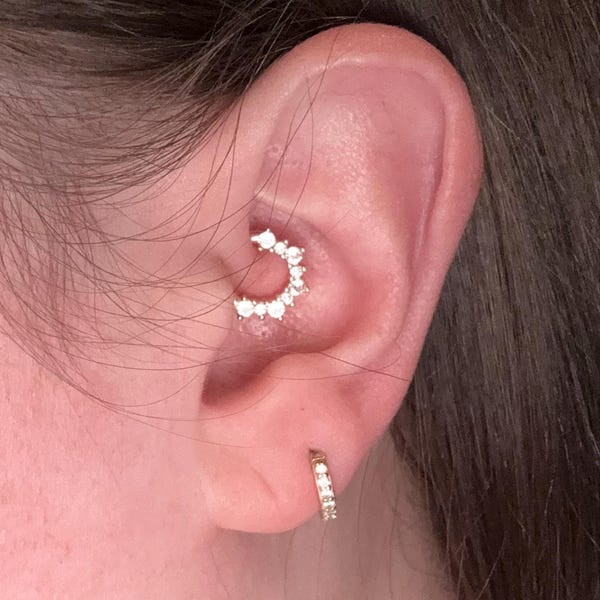 Rainbow Paved Conch Clicker Hoops • CZ Hinged Clicker Hoops • Seamless ...