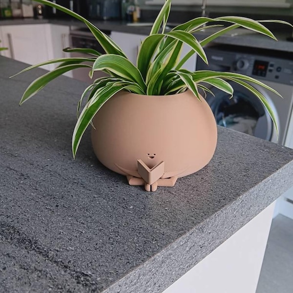 Reading Pot | Book Pot | Cute Plant Pot | Plant Pot | Sitting Planter ...