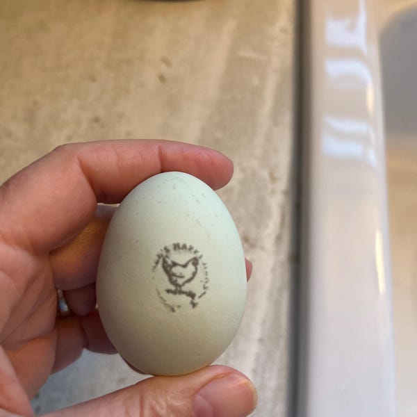 Mini Egg Stamp | Homesteading | Farm Stamp | Egg Marking | Egg Stamper ...