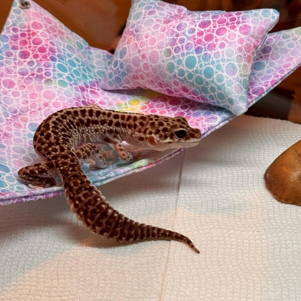Leopard Gecko Poop Tray or "litter Box" - Etsy