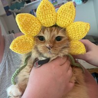 CROCHET PATTERN - Flower Cat Hat Crochet Pattern Digital PDF, Sunflower ...
