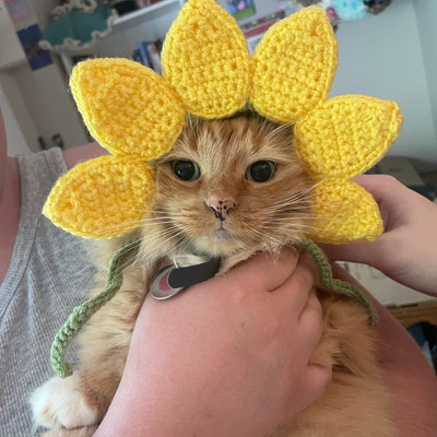 Alien Cat Costume Toy Story Alien Cat Hat Crochet UFO Cat - Etsy