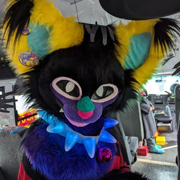 Custom Fursuit 3D Model - Etsy