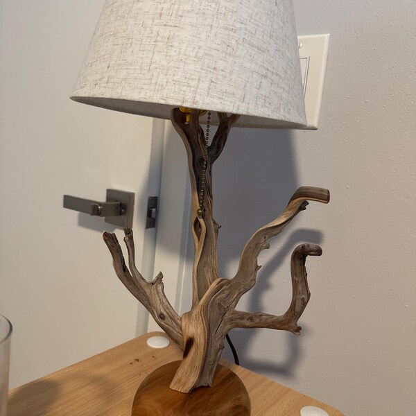 Extremely Rare, One of a Kind! Rustic Tree Branch Table Lamp for ...