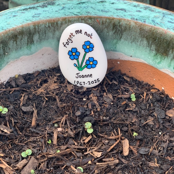 Bird Species Pebbles . British Birds. Garden . Uk Birdwatching Weekend ...