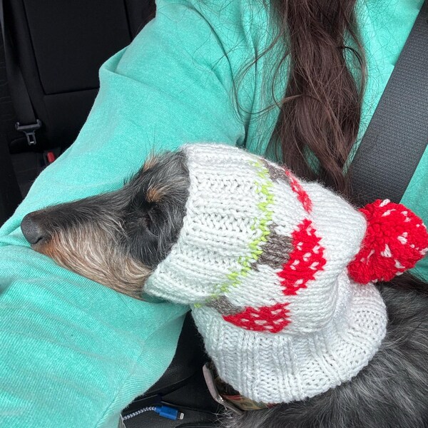 Pet Frog Costume Halloween Costume Frog Sweater and Hat Dachshund Frog ...