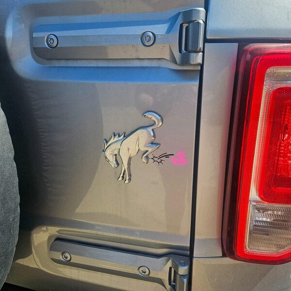 License and Insurance Decal - Etsy