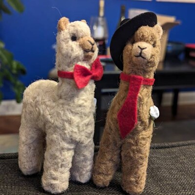 Alpaca My Heart for You Cute Anniversary Gift for Llama Lovers ...