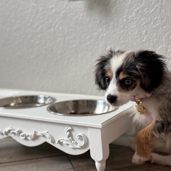 Farmhouse Chic Dog or Cat Elevated Pet Feeder | HUMAN GRADE Stainless ...