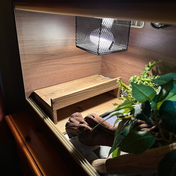 Natural Wooden Reptile Tunnel Hide. Vivarium & Terrarium Decorations ...