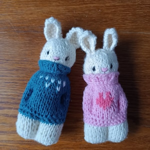 Pocket Buddies No2 KNITTING PATTERN with Bonus - Etsy