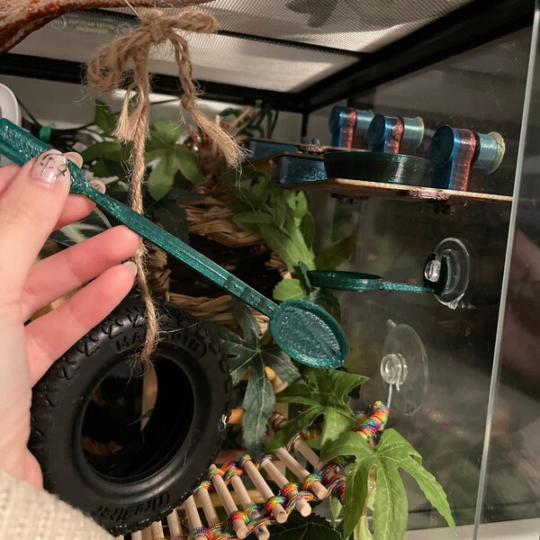 Stroodies Spoons for Crested Geckos (includes Suction Cups) - Etsy
