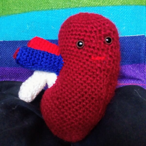 11 Crochet Organs Patterns! EBOOK PDF Amigurumi Heart Liver Kidney ...